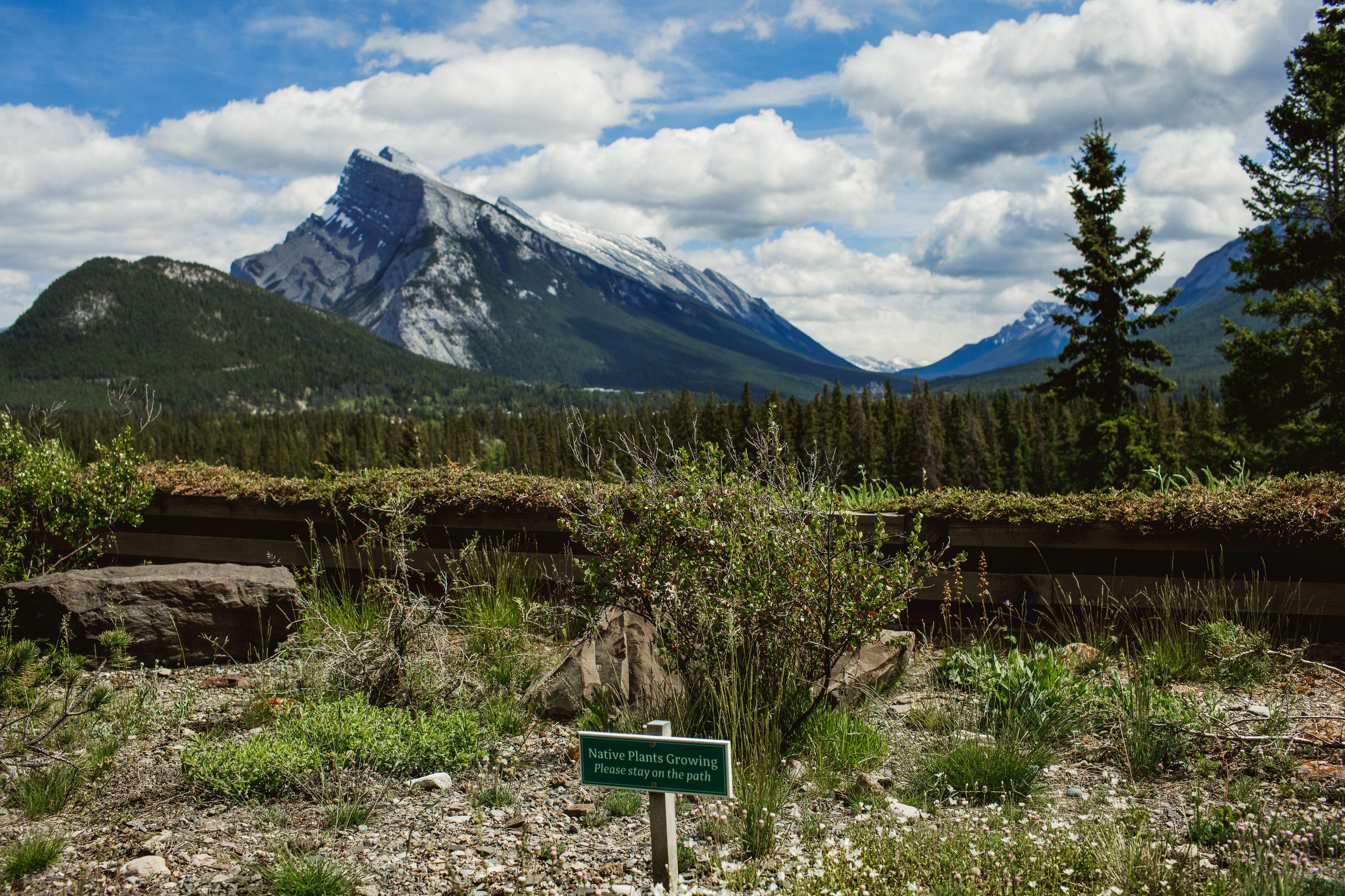 HOTEL JUNIPER HOTEL & BISTRO | ⋆⋆⋆ | BANFF, CANADA | SEASON DEALS FROM $205