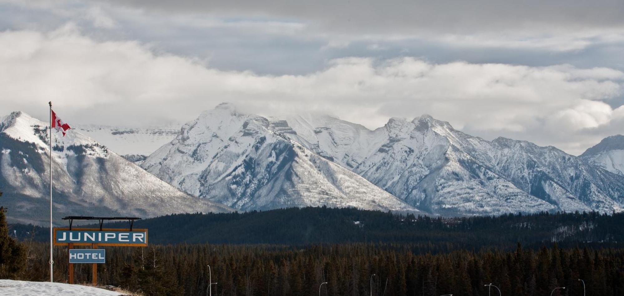 HOTEL JUNIPER HOTEL & BISTRO | ⋆⋆⋆ | BANFF, CANADA | SEASON DEALS FROM $205