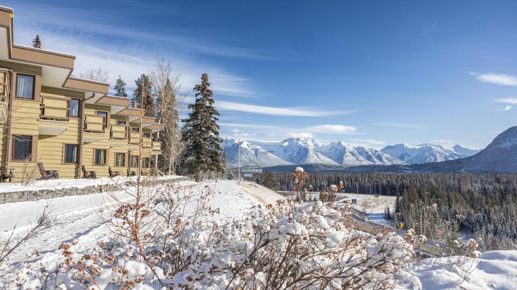 HOTEL JUNIPER HOTEL & BISTRO | ⋆⋆⋆ | BANFF, CANADA | SEASON DEALS FROM $205